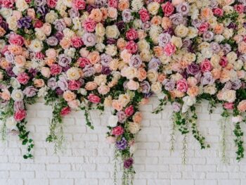 Photo Backdrops for Weddings | The Wedding Shoppe