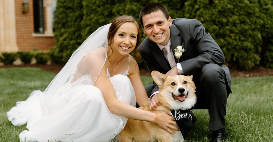 5 Ways to Include Dogs in Weddings | The Wedding Shoppe